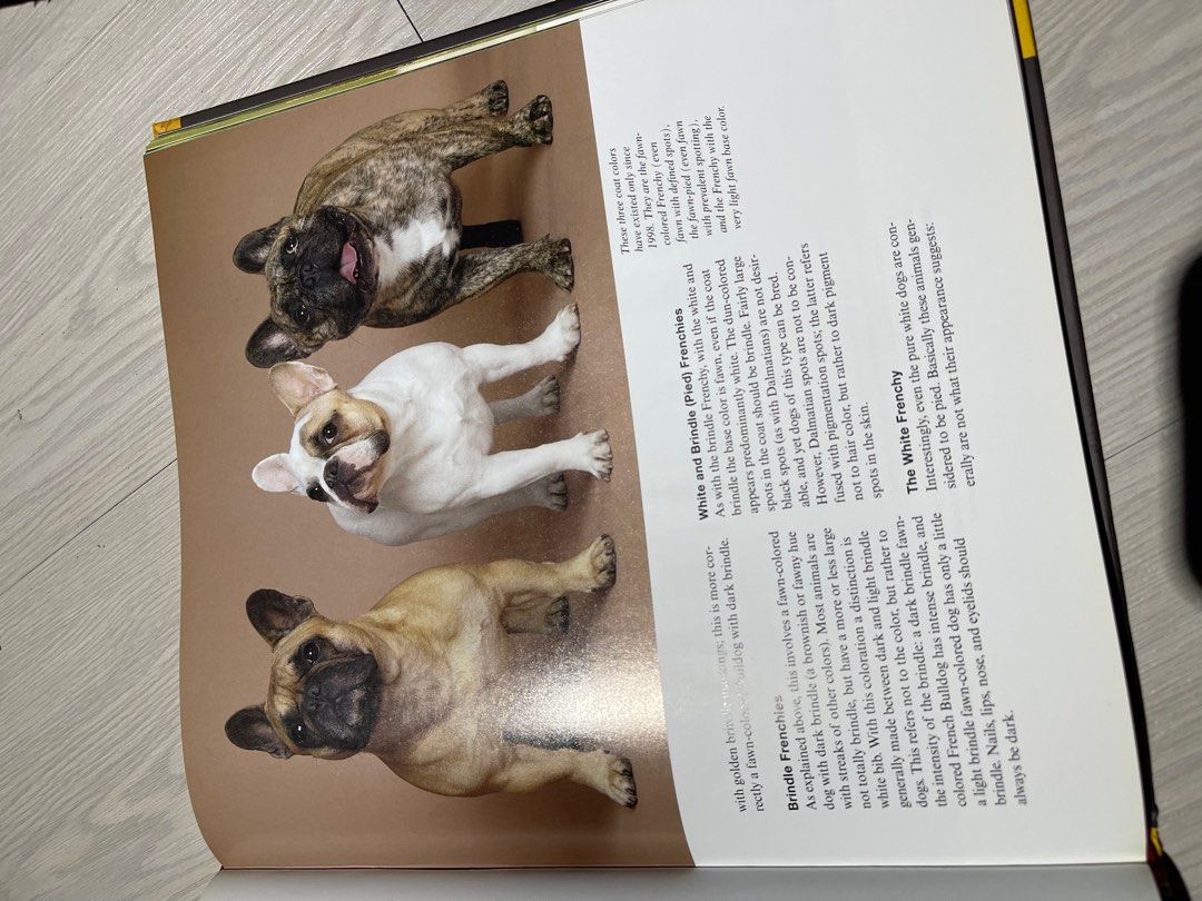 Frenchie Breed book on Carousell