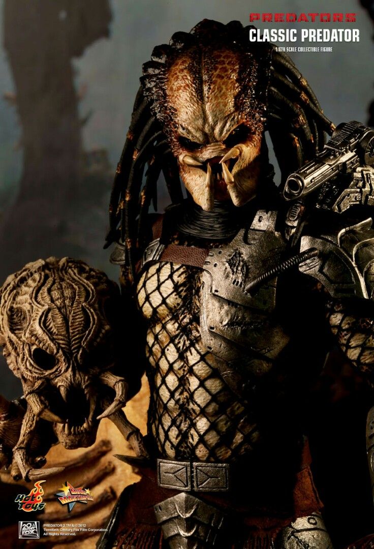 Hot Toys Classic Predator Sideshow Exclusive, Hobbies & Toys, Toys ...