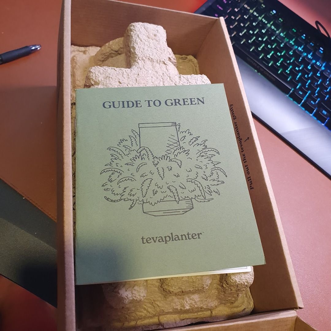 Original Tevaplanter(US) The inside out Planter - A new home for plants ...