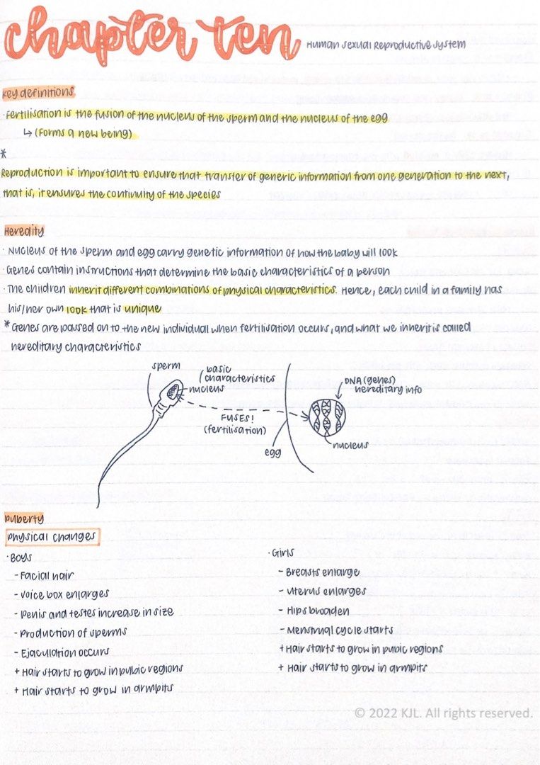 Secondary 2 Science Revision Notes, Hobbies & Toys, Books & Magazines ...