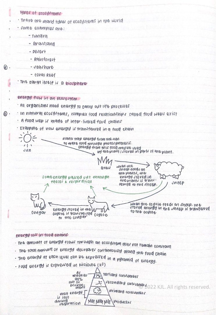 Secondary 2 Science Revision Notes, Hobbies & Toys, Books & Magazines ...