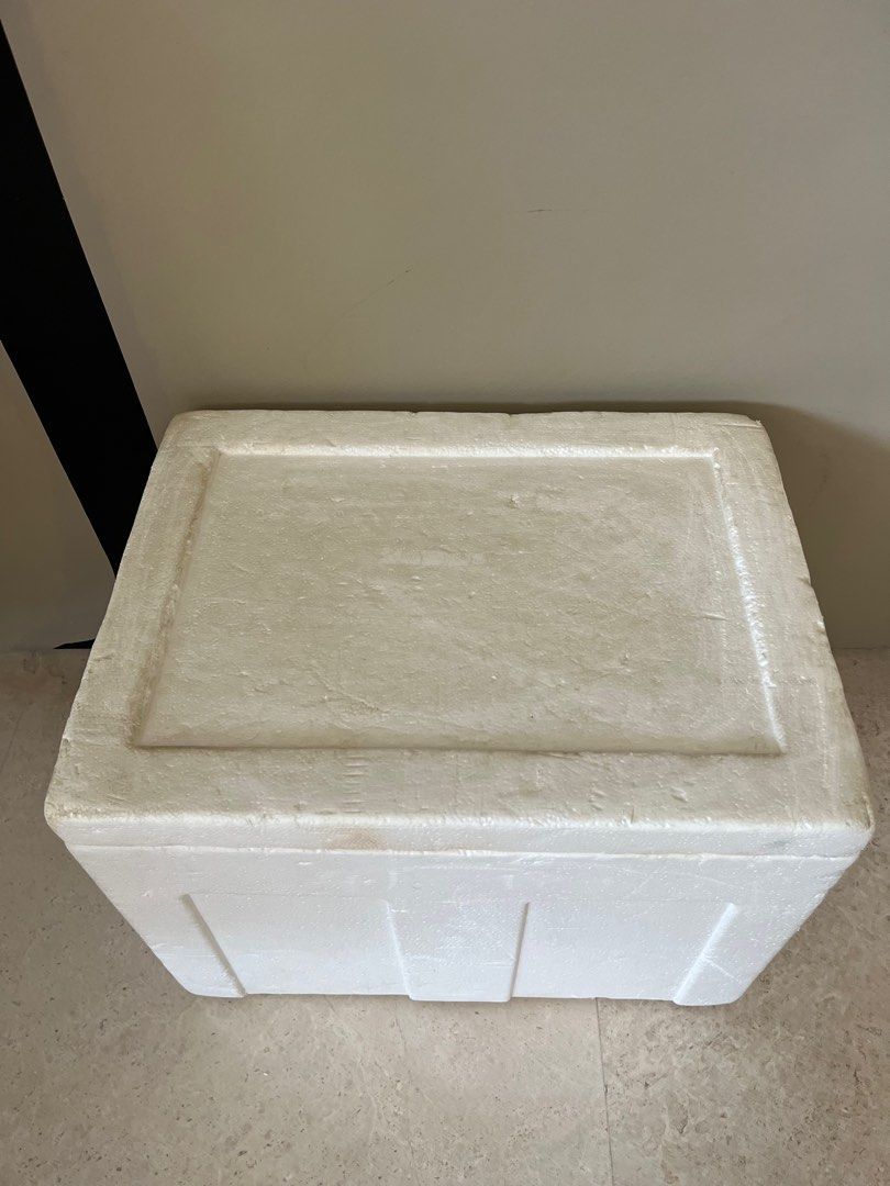 Styrofoam Boxes, Furniture & Home Living, Home Improvement ...