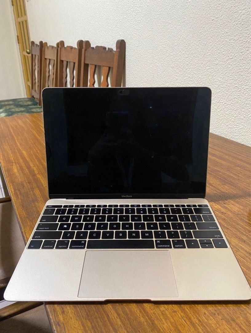 TWO IN ONE!! MacBook (Retina, 12-Inch Early 2017) 8 GB 256 SSD MacOs ...
