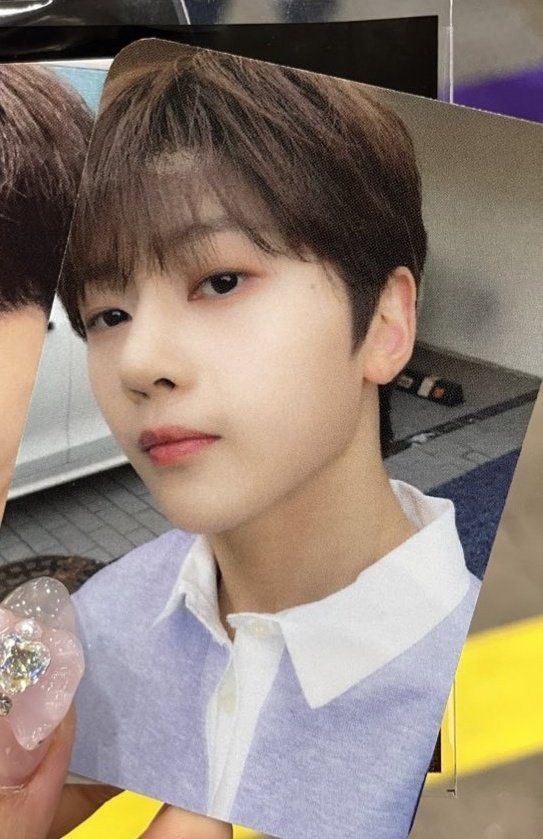 ZB1 zerobaseone matthew kcon pc, Hobbies & Toys, Memorabilia ...