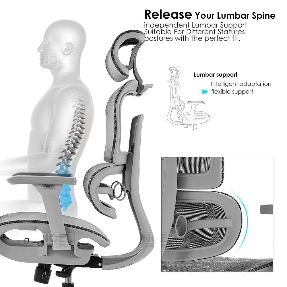 ZERgo-H | Ergonomic Office Chair | Adjustable Head-rest, Back-Rest, Arm ...