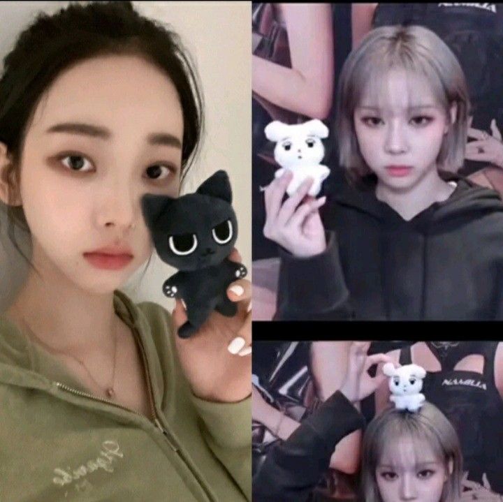 AESPA KARINA AND WINTER PLUSH TOY [GO], Hobbies & Toys, Memorabilia & Collectibles, K-Wave on ...