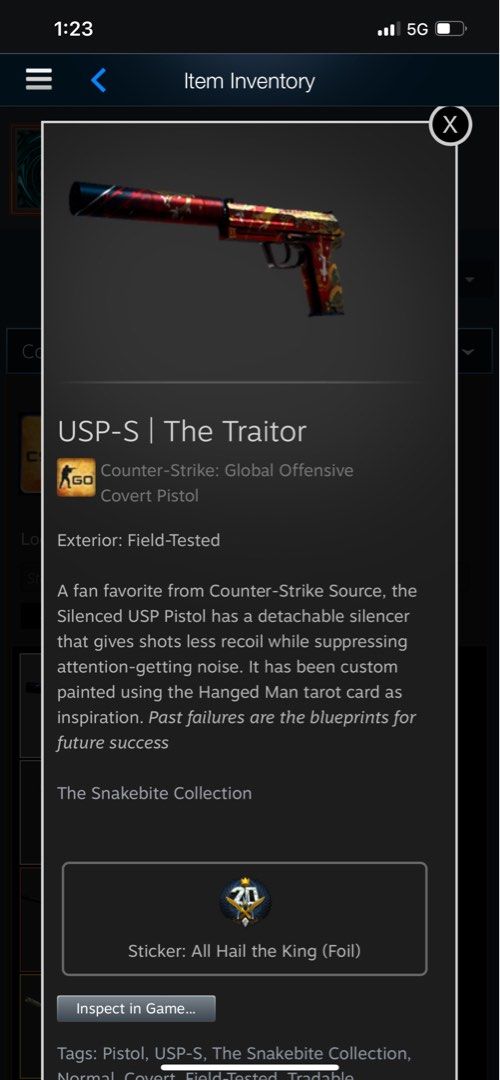 CSGO USP-S THE TRAITOR FT WITH KING FOIL STICKER, Video Gaming, Gaming ...