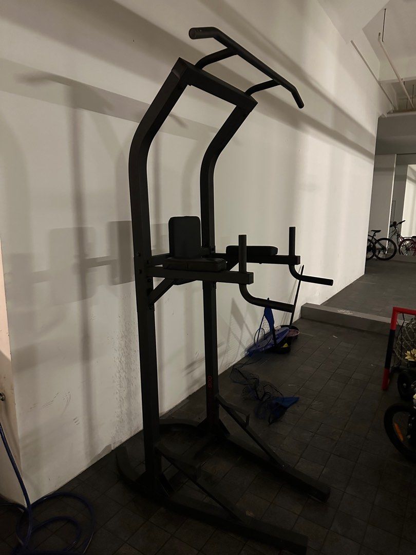 Decathlon pull-up and dip training station, Sports Equipment, Exercise ...