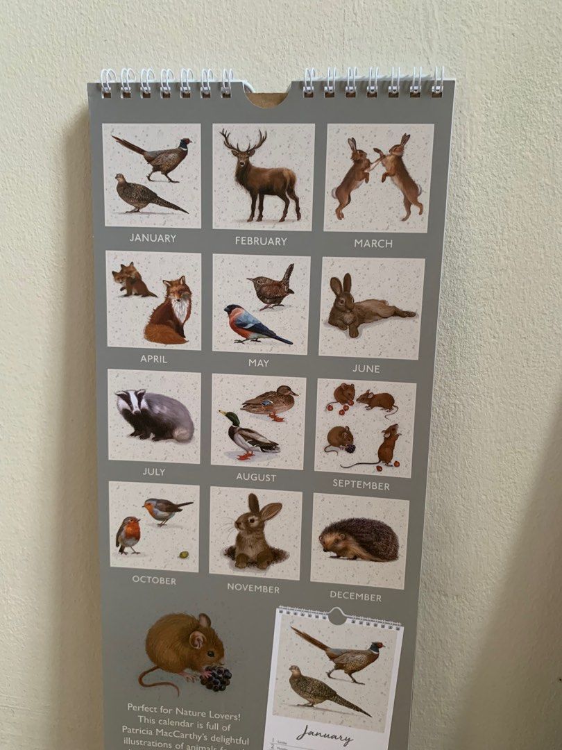 EXTREMELY UNIQUE Peter Rabbit & Countryside 2023 Calendars, Hobbies ...