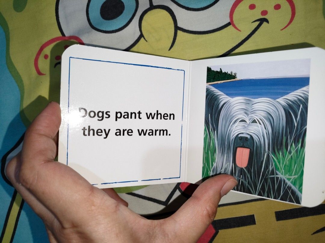 For Sale Baby Einstein Dogs Mini Book for Kids Hardbound on Carousell