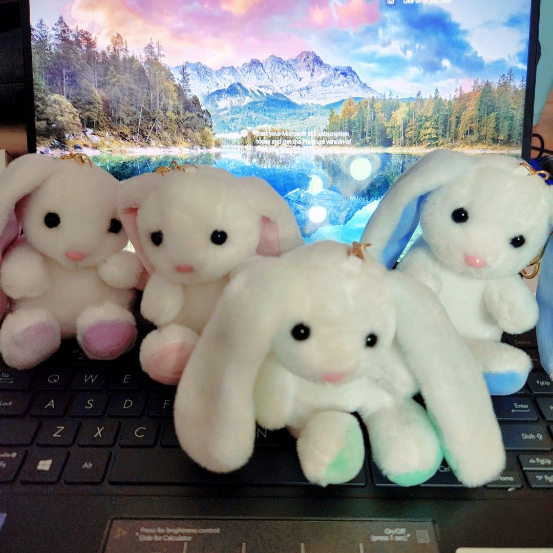 Funsize Rabbit Chou Chou keychains Funclaw, Hobbies & Toys, Toys ...