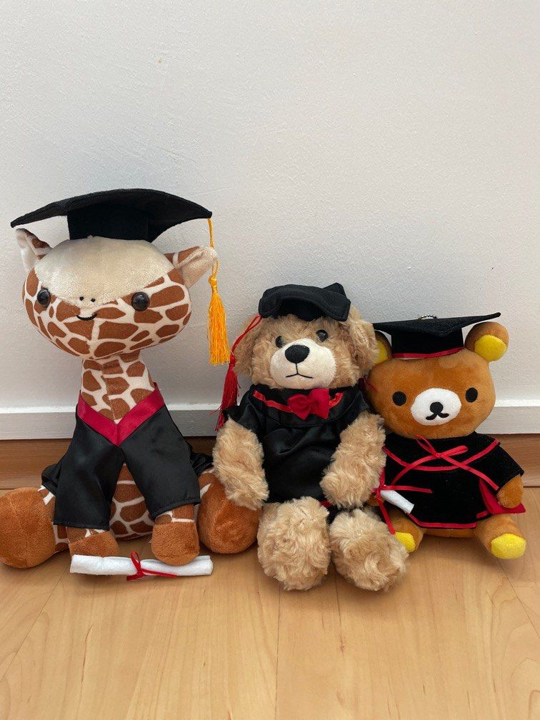 Graduation Soft Toy, Hobbies & Toys, Toys & Games on Carousell