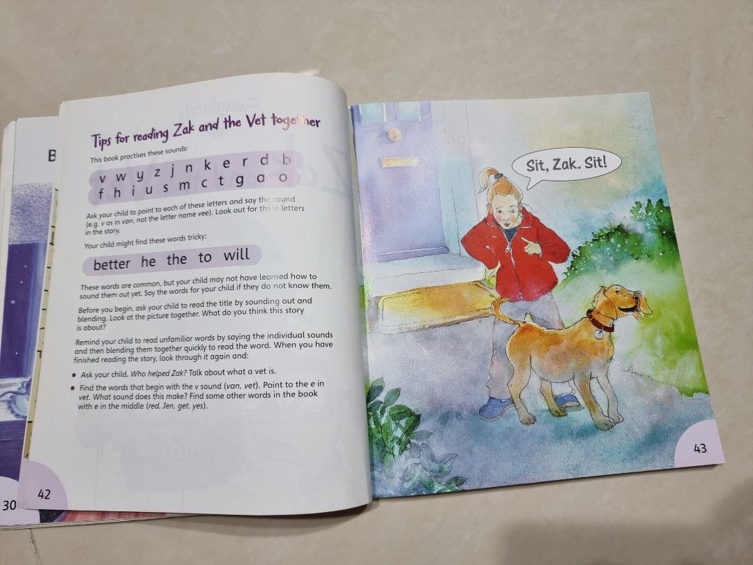 Julia Donaldson's Songbirds, Hobbies & Toys, Books & Magazines ...