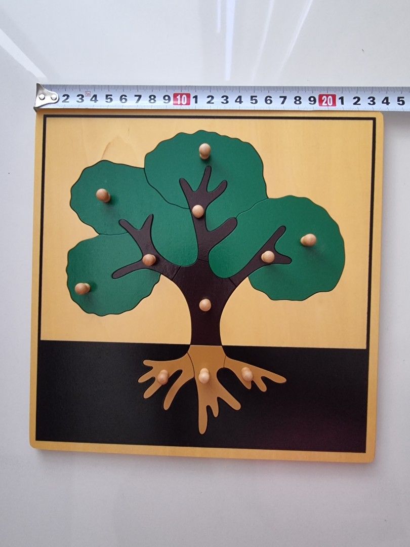 Montessori Botany Puzzles: Leaf and Tree, Hobbies & Toys, Toys & Games ...