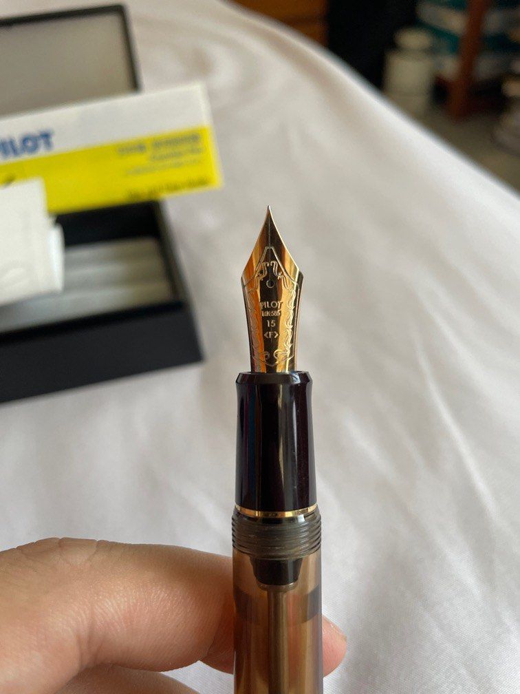 Pilot Custom 823 Fountain Pen Fine Nib, Hobbies & Toys, Stationery ...