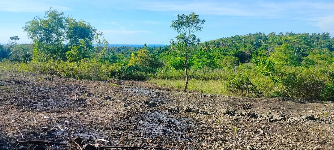 Seaview lot for sale few minutes drive from white sand Beaches 700/sqm ...