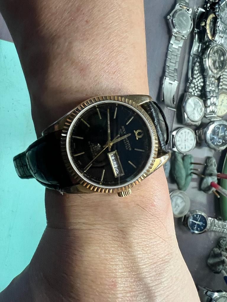 Solvil Titus Automatic Watch, Luxury, Watches on Carousell