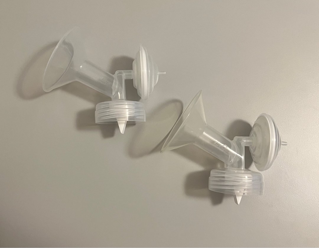 Spectra 24mm Flange set with backflow preventer and duckbill valves on ...