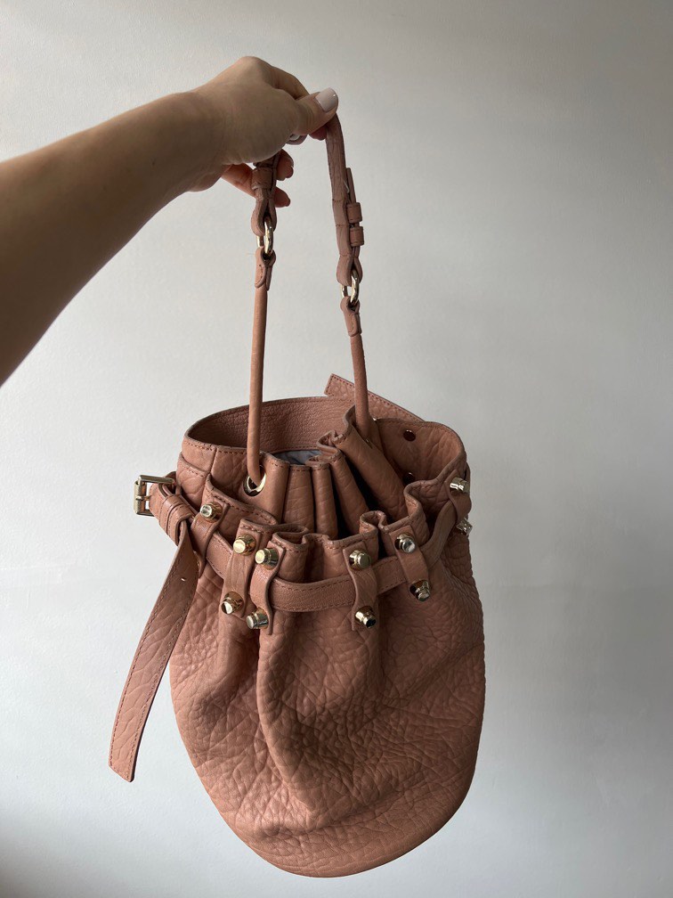 Alexander Wang Diego bucket bag, Luxury, Bags & Wallets on Carousell
