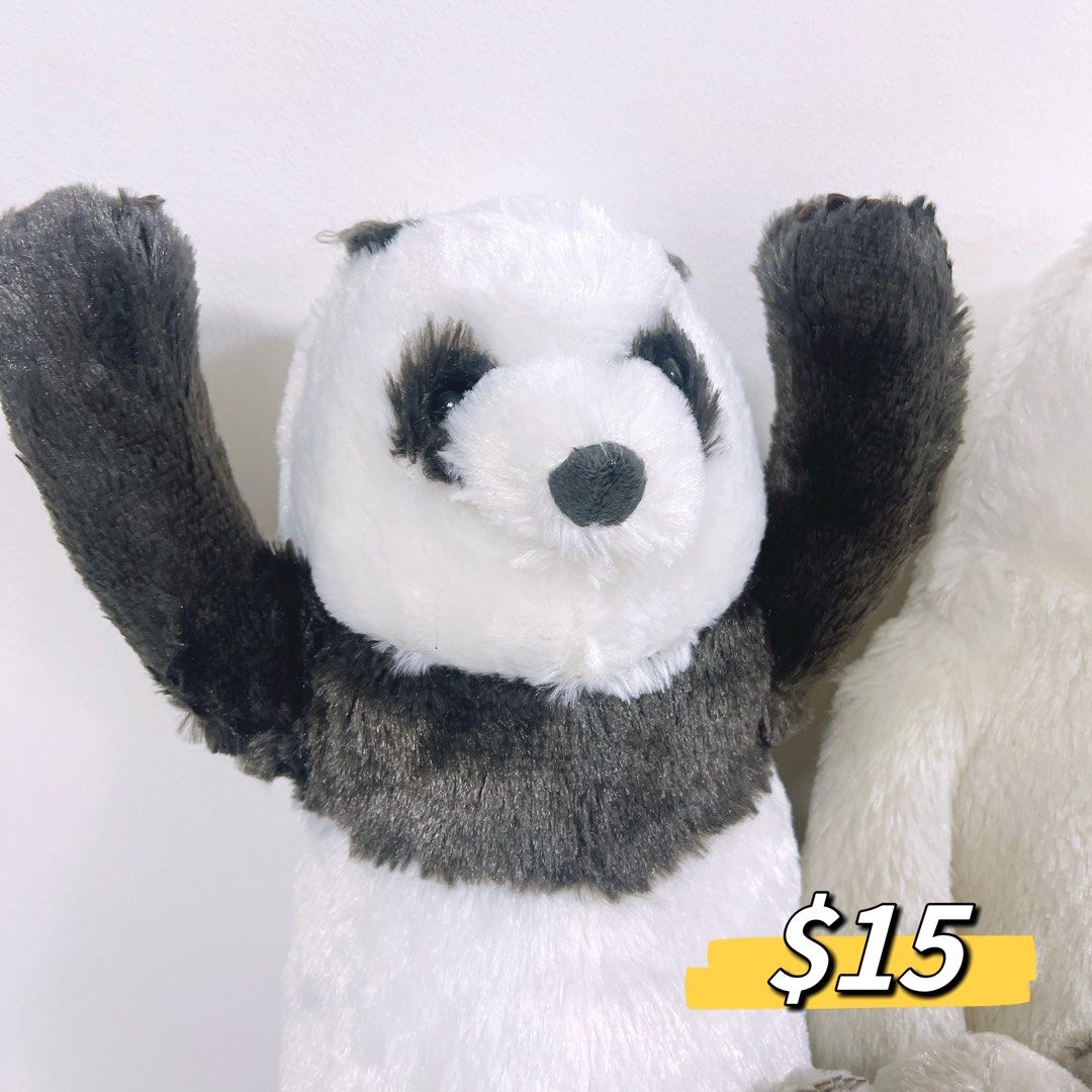 Banzai Bear - Gray Bear Berry Honey Polar Bear Seal Panda, Hobbies ...