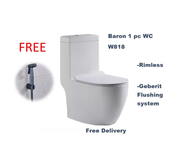 Baron W818 Rimless toilet bowl water closet WC with free bidet spray ...