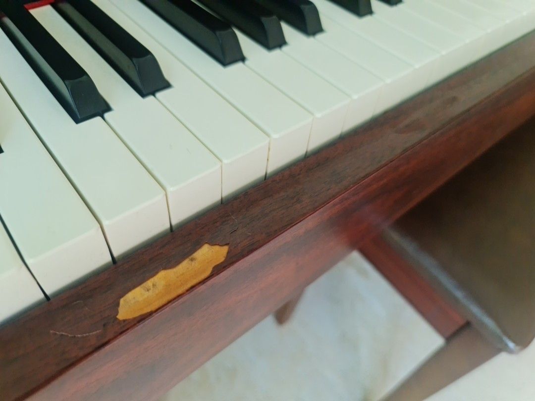 Beautiful Mahagony Yamaha Clavinova CLP-440, Hobbies & Toys, Music ...