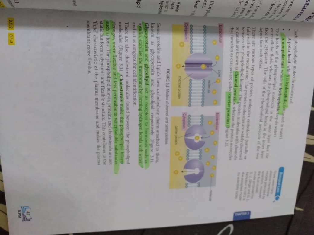 biology dlp form 4 textbook, Hobbies & Toys, Books & Magazines ...