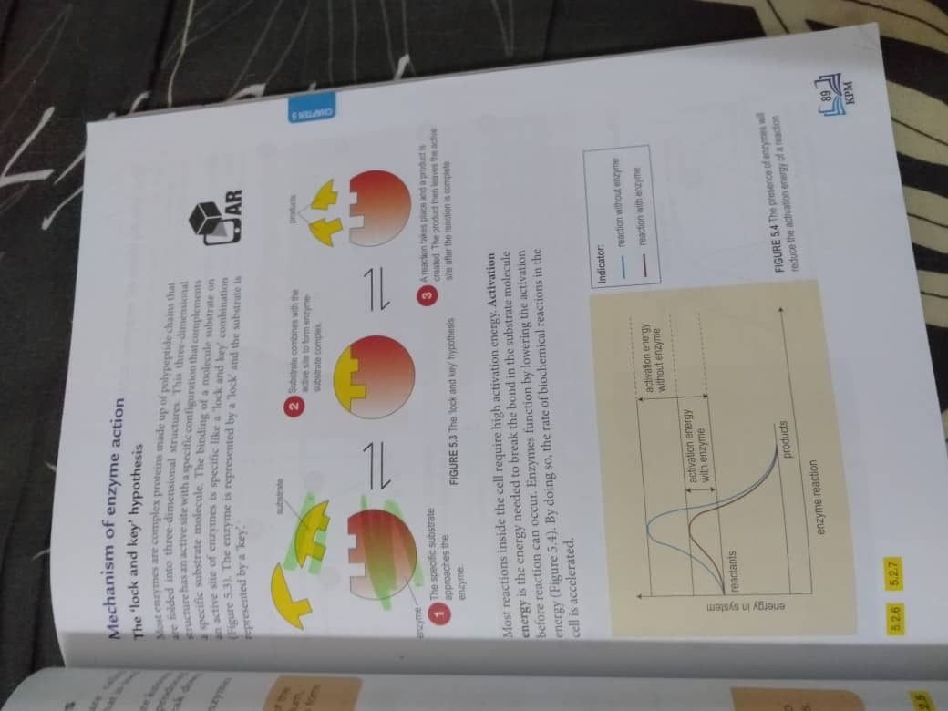 biology dlp form 4 textbook, Hobbies & Toys, Books & Magazines ...