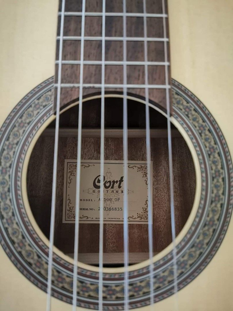 Cort Classical Guitar with bag, Hobbies & Toys, Music & Media, Musical ...