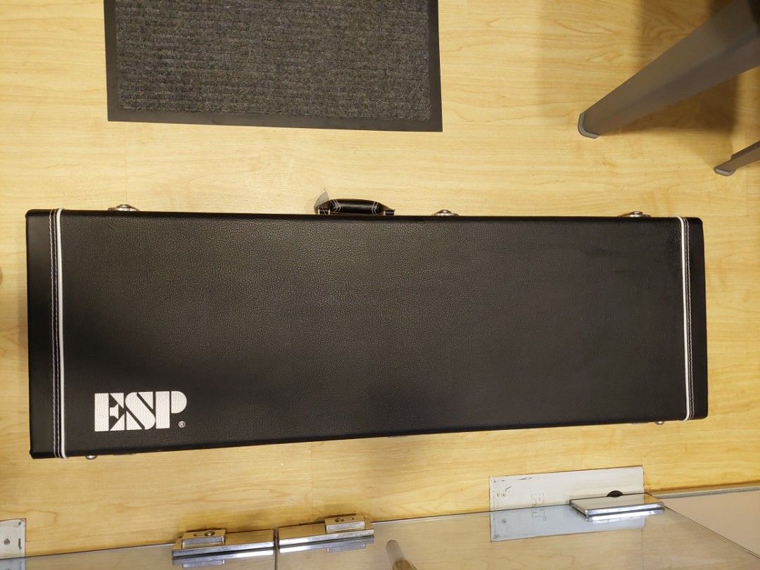 ESP Electric Guitar Case, Hobbies & Toys, Music & Media, Music ...