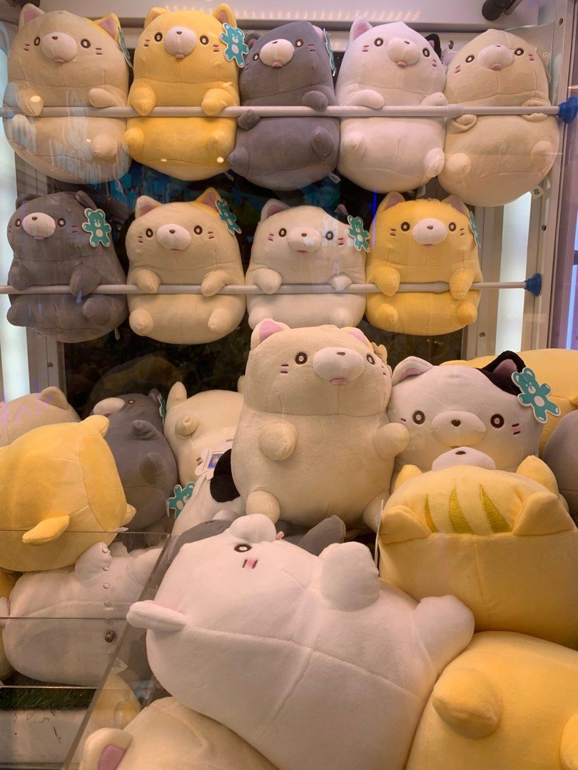 Fun Claw Fat Cat Plushie Soft Toy, Hobbies & Toys, Toys & Games on ...