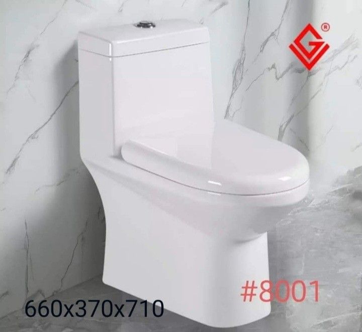 GV 8001 One Piece Water Closet Toilet Bowl, Furniture & Home Living ...