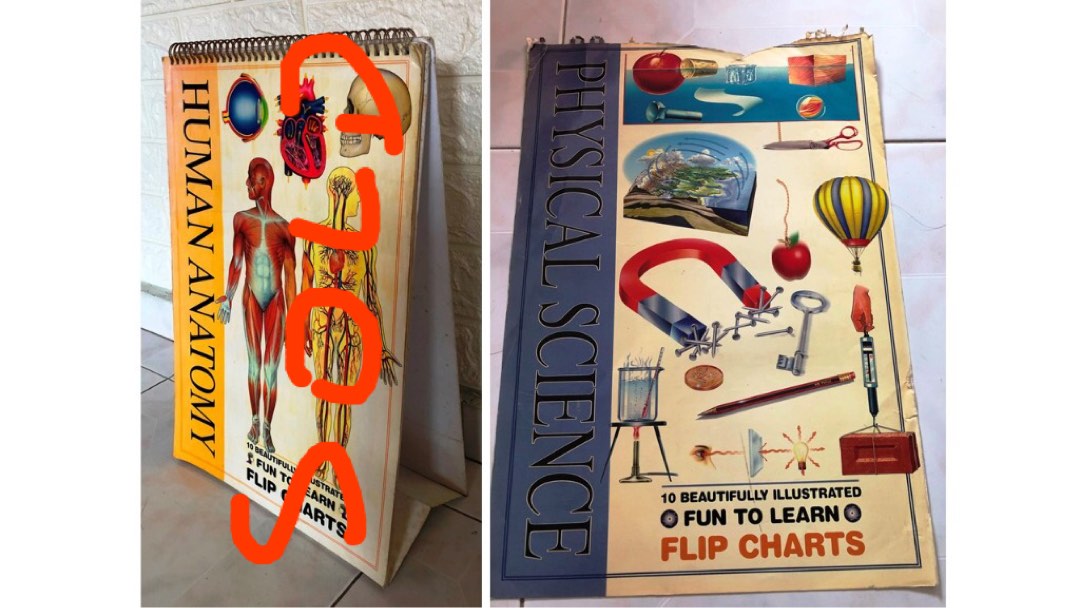 Physical Science Flip Charts/Human Anatomy, Hobbies & Toys, Books ...