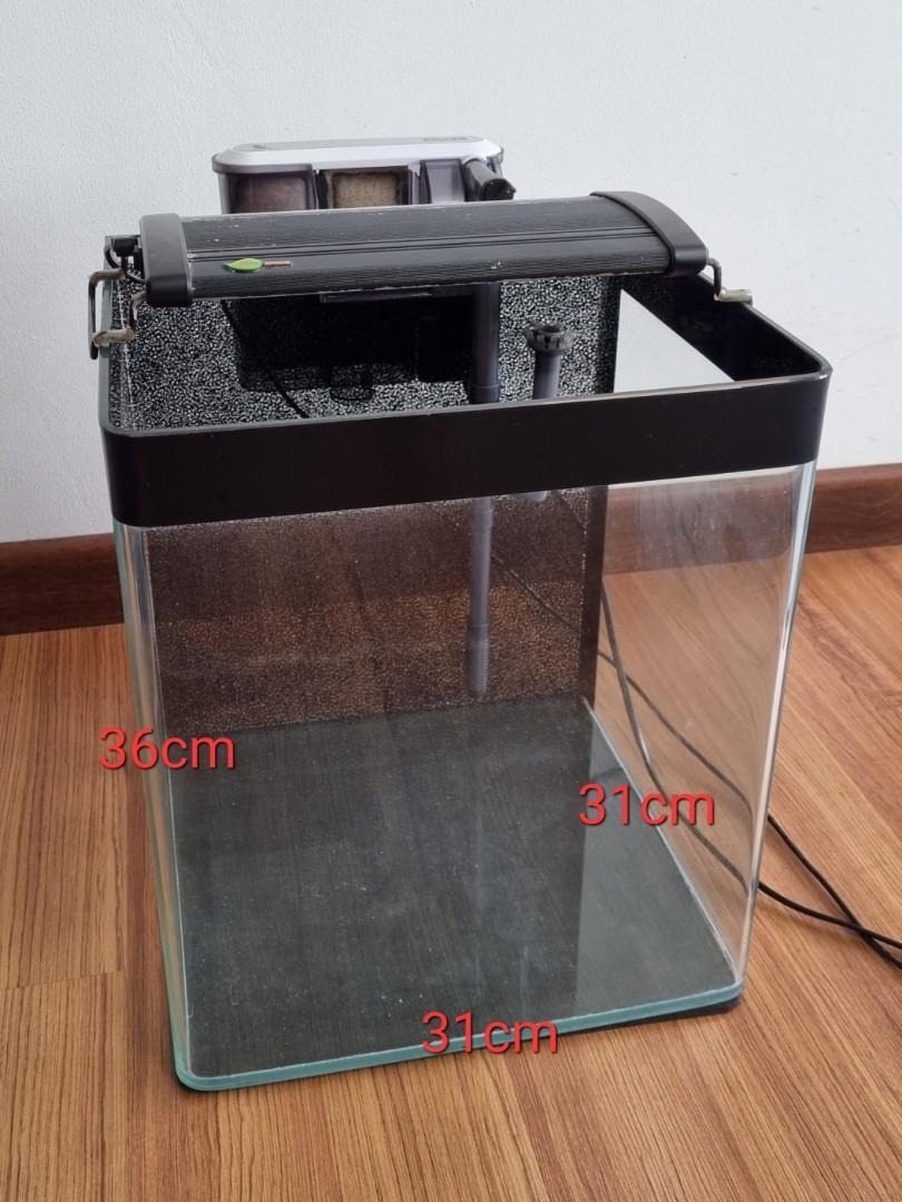 1ft Fish Tank, Pet Supplies, Homes & Other Pet Accessories on Carousell