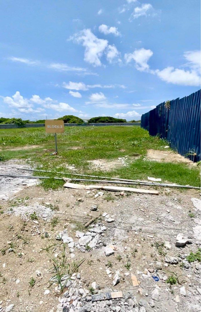 252 sqm lot for sale at Brentville international Village Mamplasan ...