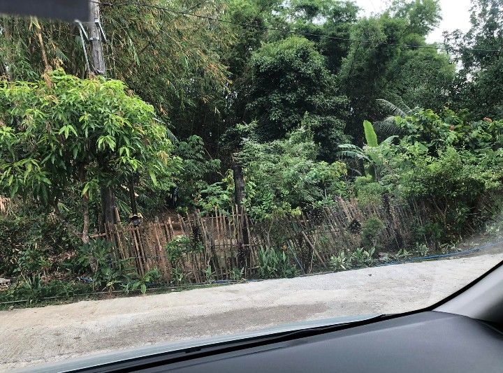 300sqm.Baltao Subd.Brgy.Sta.Cruz Antipolo City, Property, For Sale, Lot ...