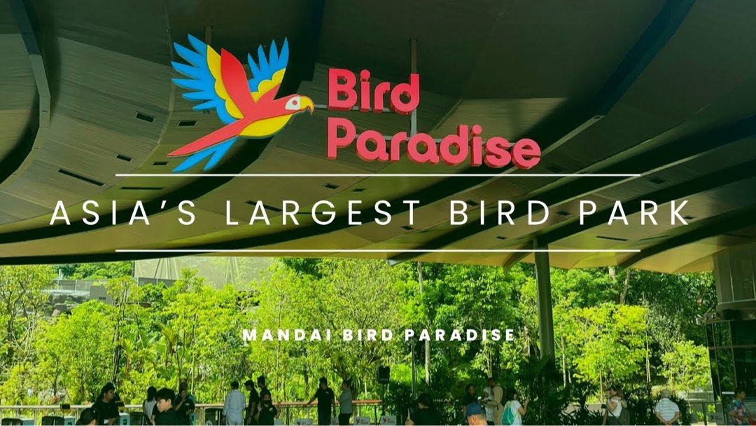 Bird paradise Mandai (previously Jurong bird park), Tickets & Vouchers ...