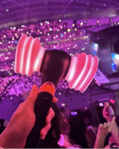 Black Pink Light Stick (without box), Hobbies & Toys, Memorabilia ...