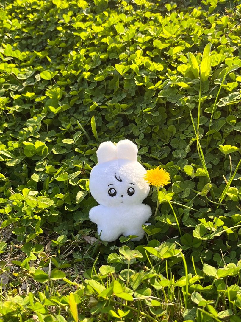BTS Jungkook JK Jungbunny 10cm Angry White Bunny Rabbit Doll by ...