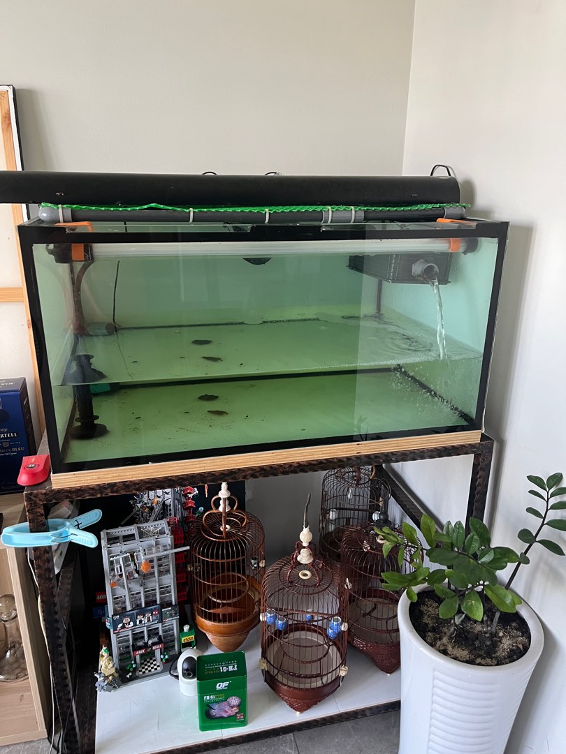 Fish tank 3Ft, Pet Supplies, Homes & Other Pet Accessories on Carousell