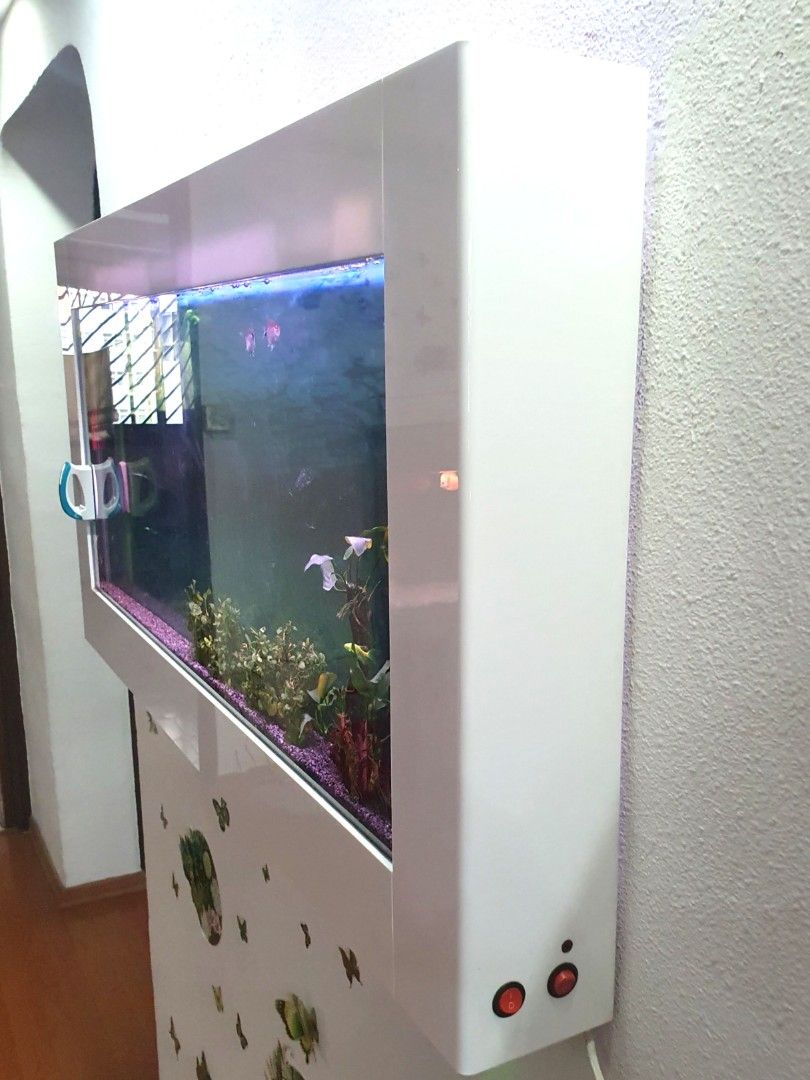 FISH TANK WALL MOUNT 鱼缸安装在墙壁。, Everything Else on Carousell