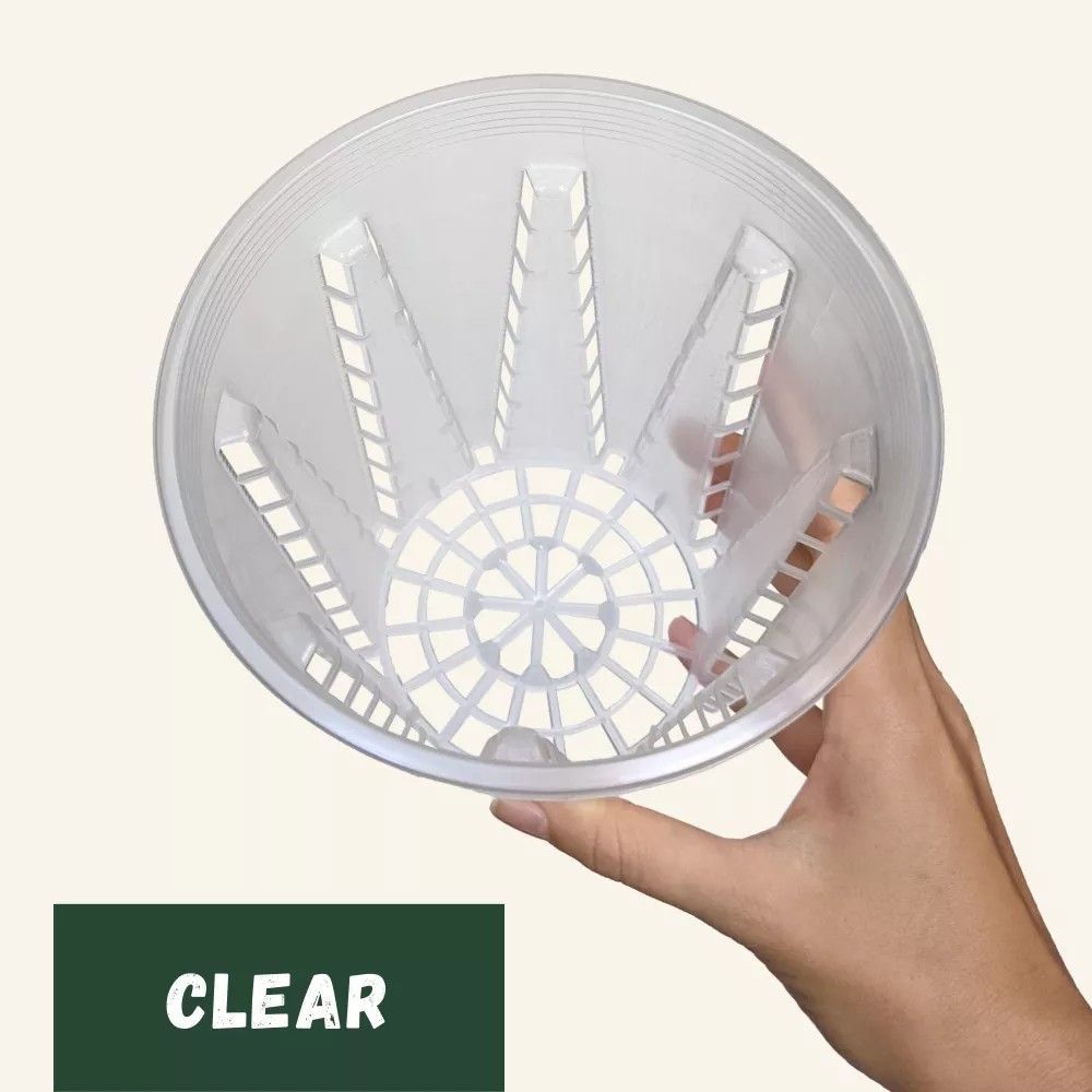 Lot of 3 Sprout Lab anti spiral plant pots for aroids and orchids ...