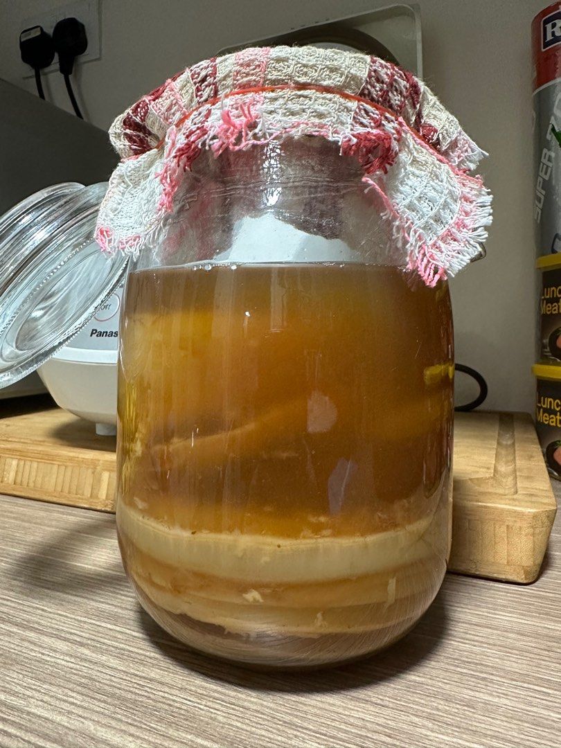 SCOBY, Food & Drinks, Other Food & Drinks on Carousell