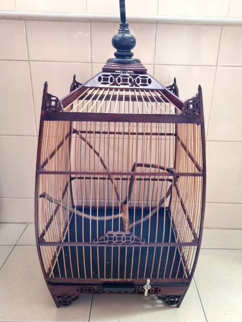 Square Jambul Bird Cage, Pet Supplies, Homes & Other Pet Accessories on Carousell