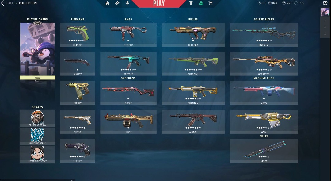 Stacked Valorant Account (14+1 Premium skins), Video Gaming, Gaming ...