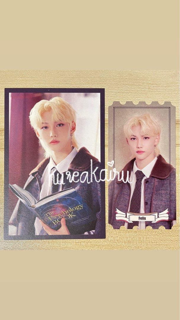 Stray Kids Felix SKZ-X Set, Hobbies & Toys, Memorabilia & Collectibles ...