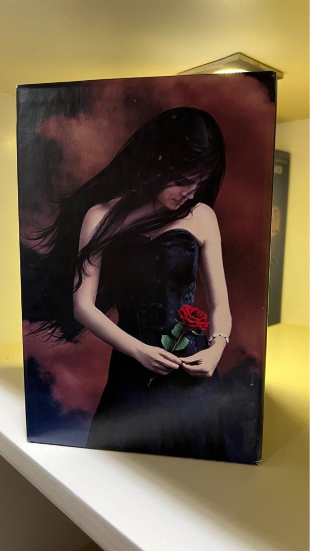 The Fallen Series by Lauren Kate (Hardcover Box Book Set), Hobbies ...