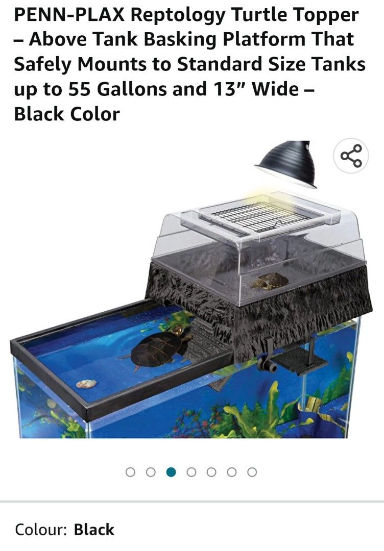 Turtle topper, Pet Supplies, Homes & Other Pet Accessories on Carousell