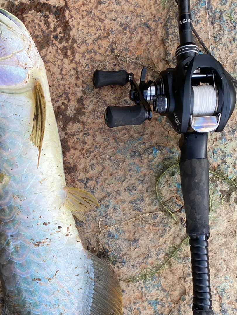 ZPI alliance left hand reel, Sports Equipment, Fishing on Carousell