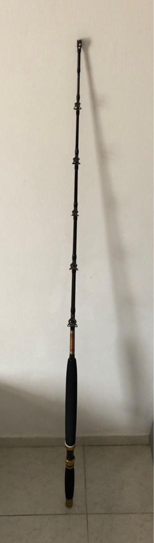 Custom Built Heavy boat Overhead fishing Rod, Sports Equipment, Fishing ...